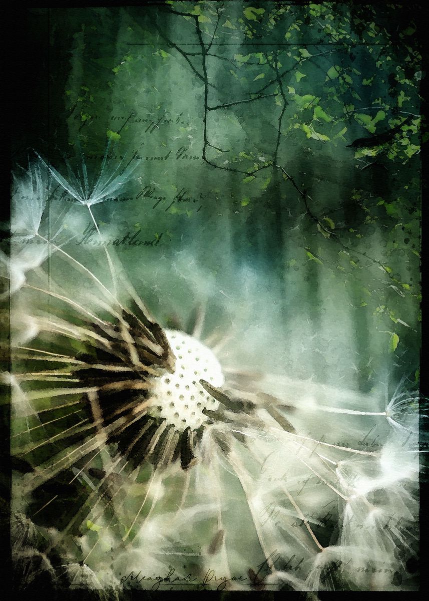 'morning light' Poster, picture, metal print, paint by Meaghan Pryor ...