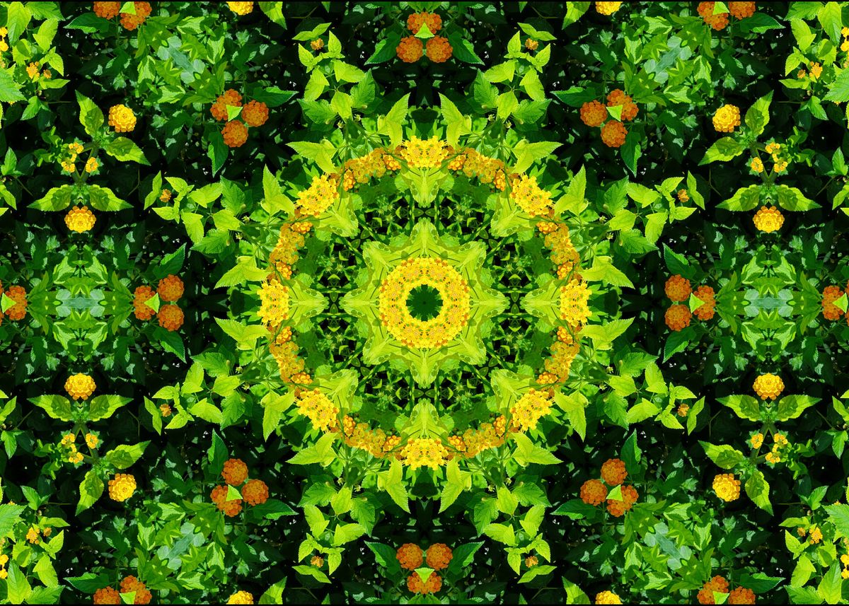 ' symmetry in nature 2' Poster by metatronworks | Displate