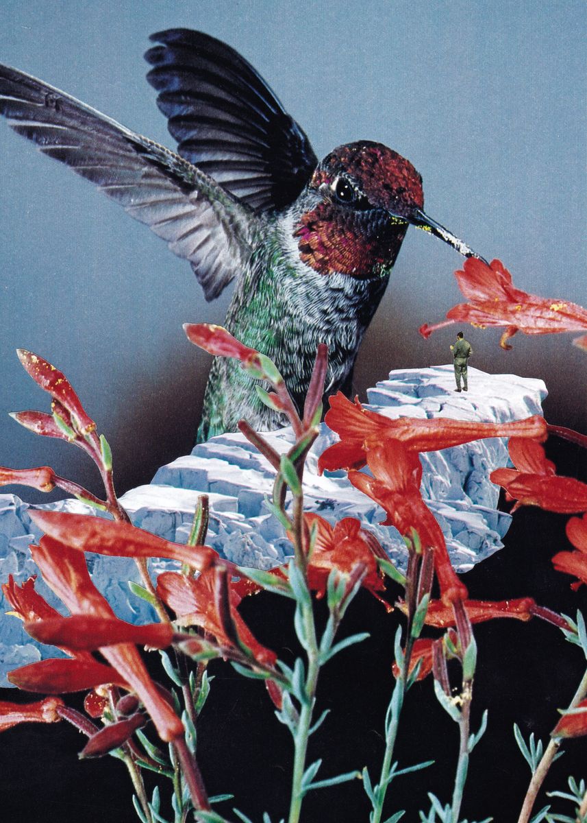 'Bird Trainer [collage]' Poster, picture, metal print, paint by Lerson ...