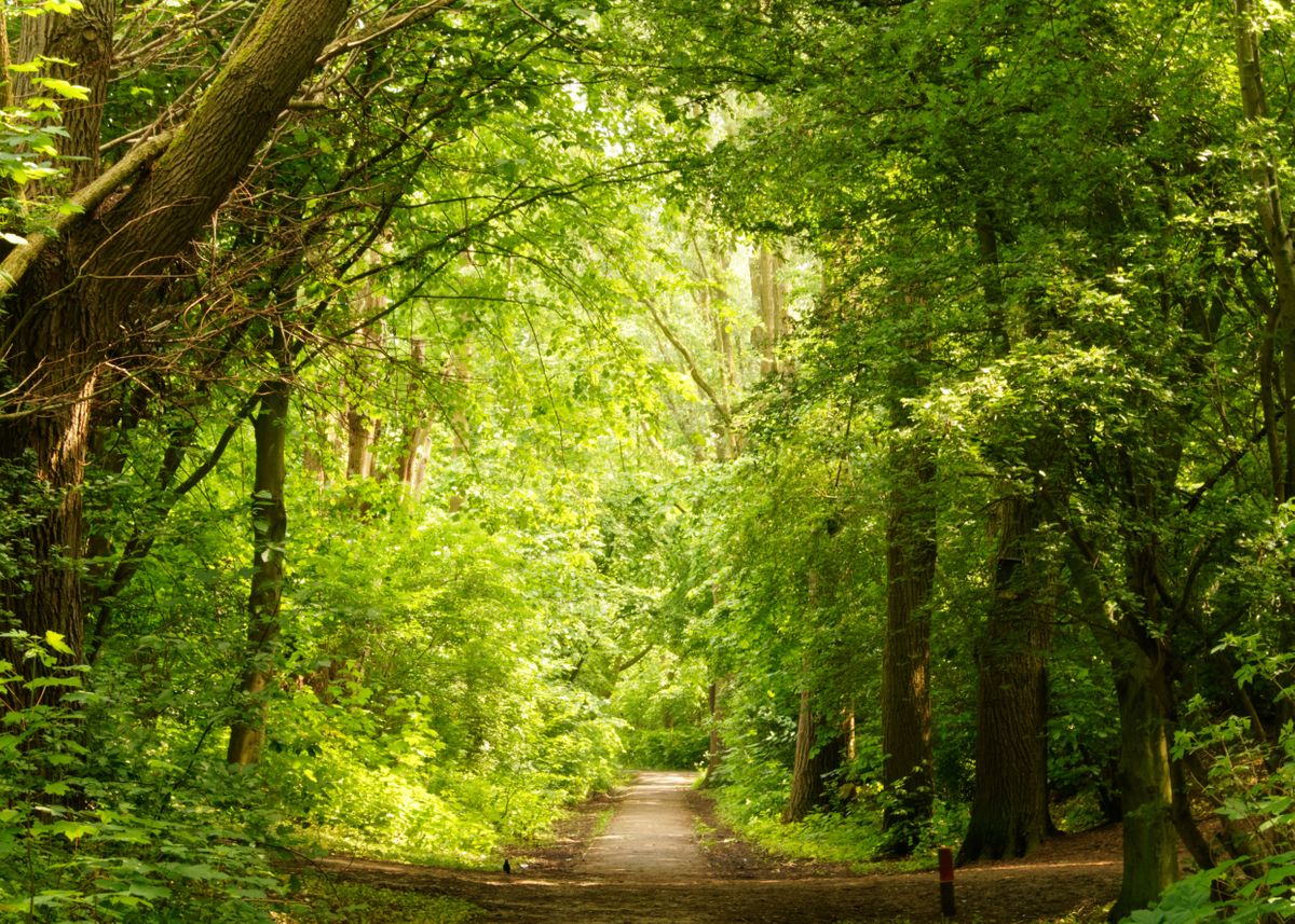 'Park of Beijum' Poster by Nerberks | Displate
