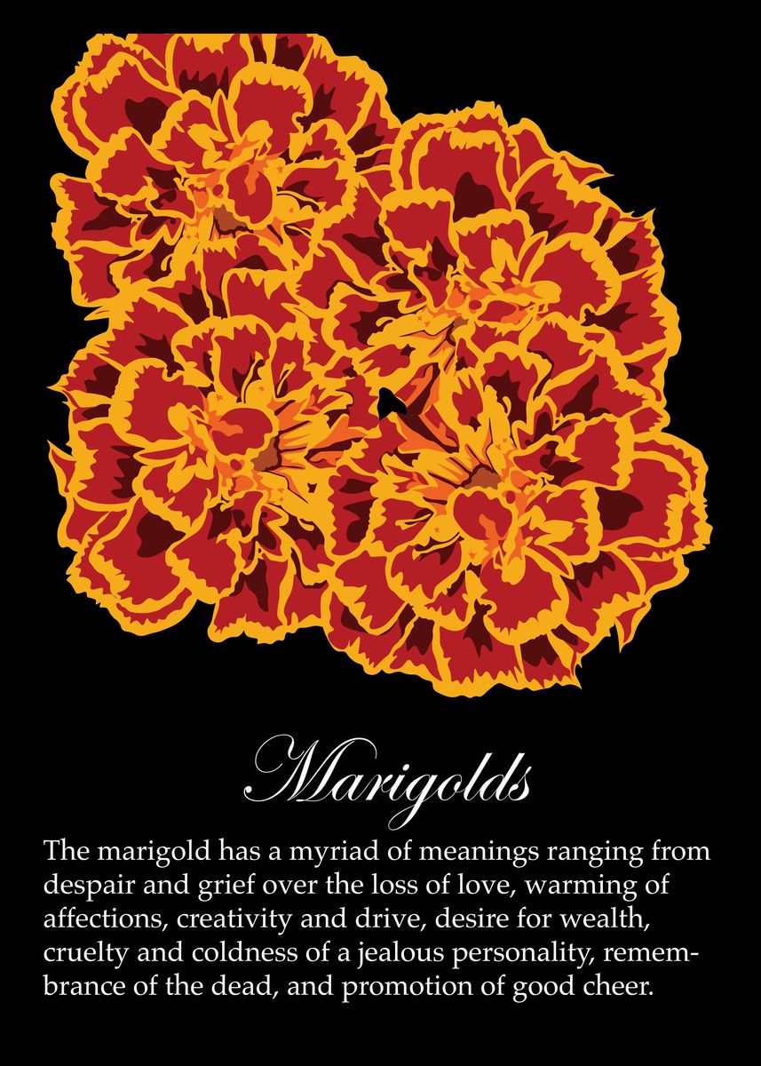 'Marigolds poster' Poster, picture, metal print, paint by Km3ellis ...