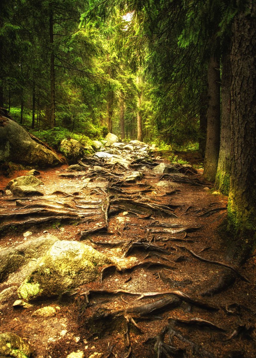 'Mystic magic deep forest' Poster, picture, metal print, paint by ...