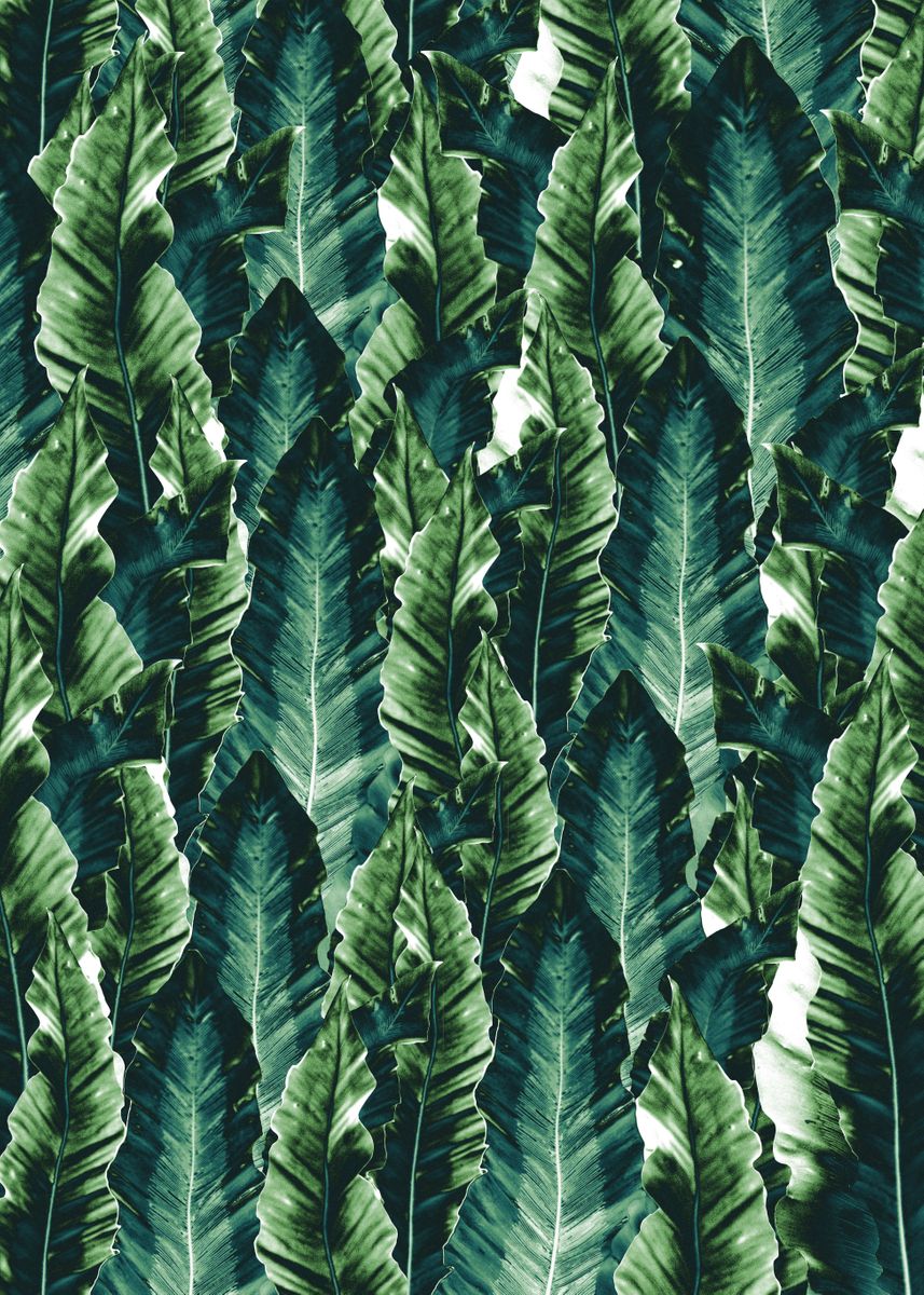 'Green Vibes 1 tropical ' Poster by Anita's & Bella's Art | Displate