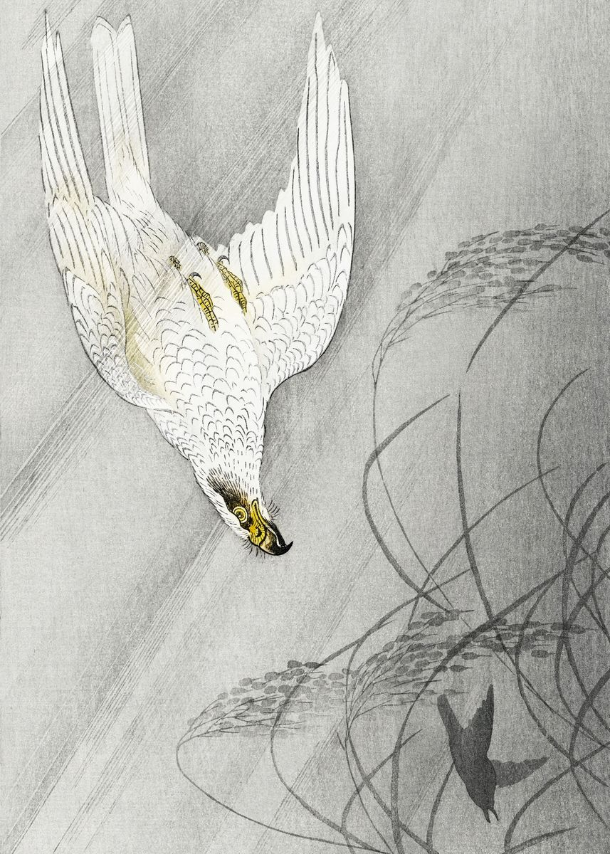 'Hawk hunting Japanese art' Poster, picture, metal print, paint by ...