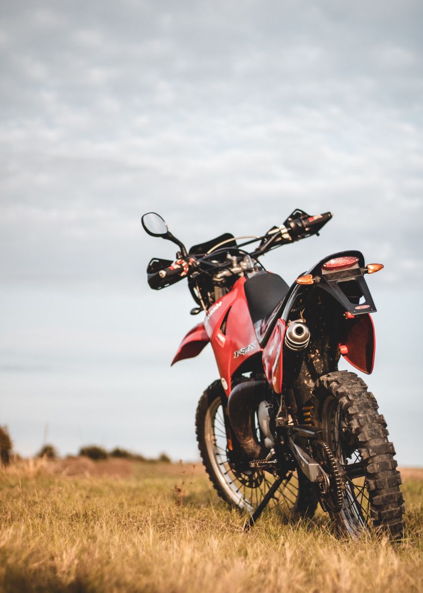 'Red Ride' Poster, picture, metal print, paint by Márk Menyhárt | Displate