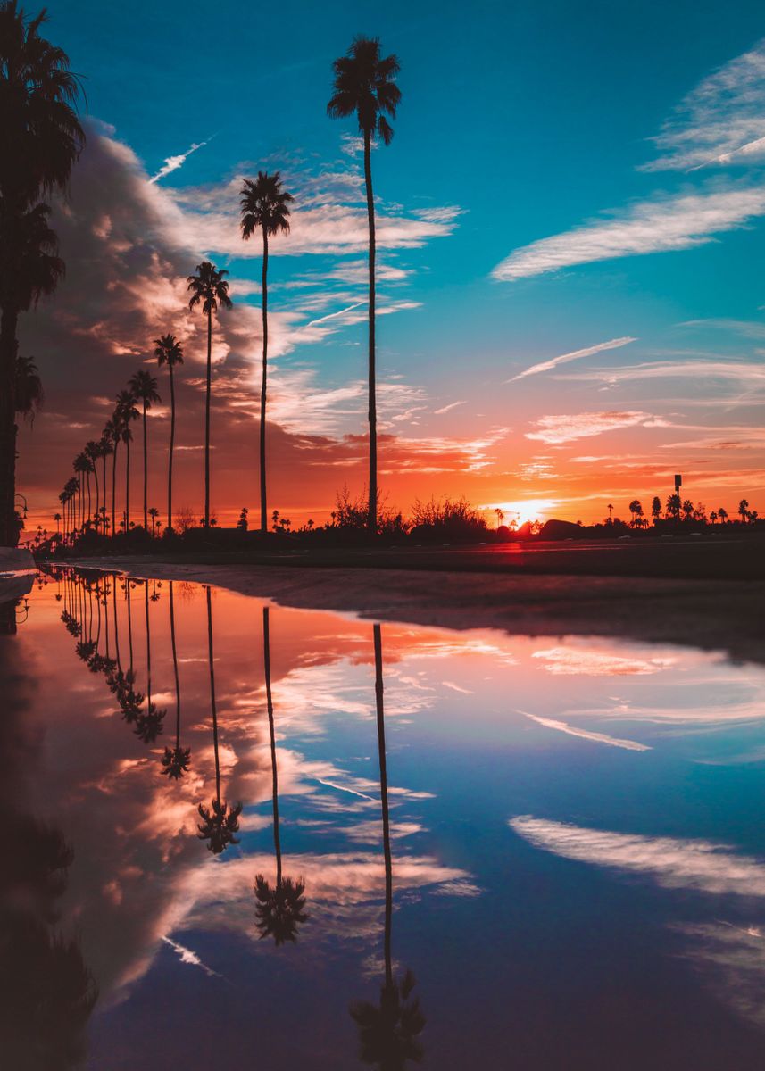 'Paradise Road' Poster, picture, metal print, paint by Sean McGee ...