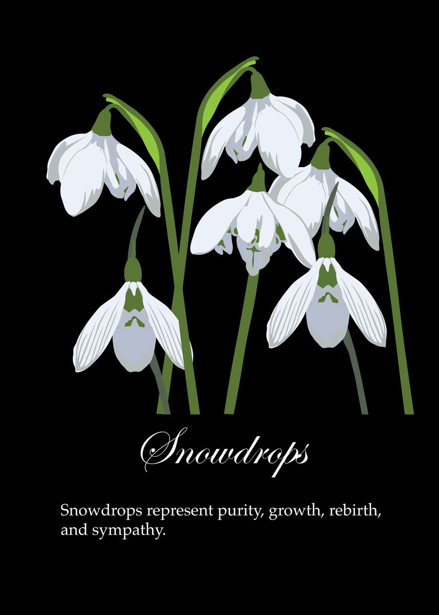 'Snowdrops poster' Poster, picture, metal print, paint by Km3ellis ...