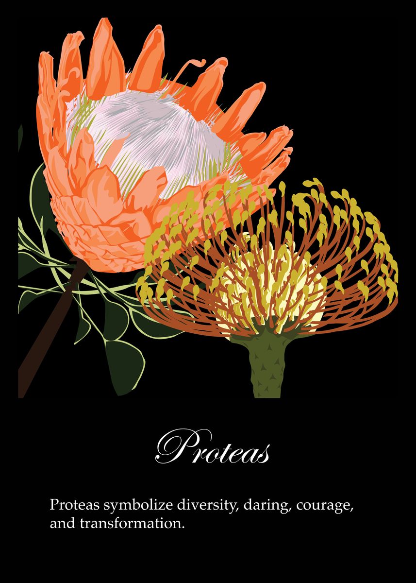 'Proteas poster' Poster, picture, metal print, paint by Km3ellis | Displate