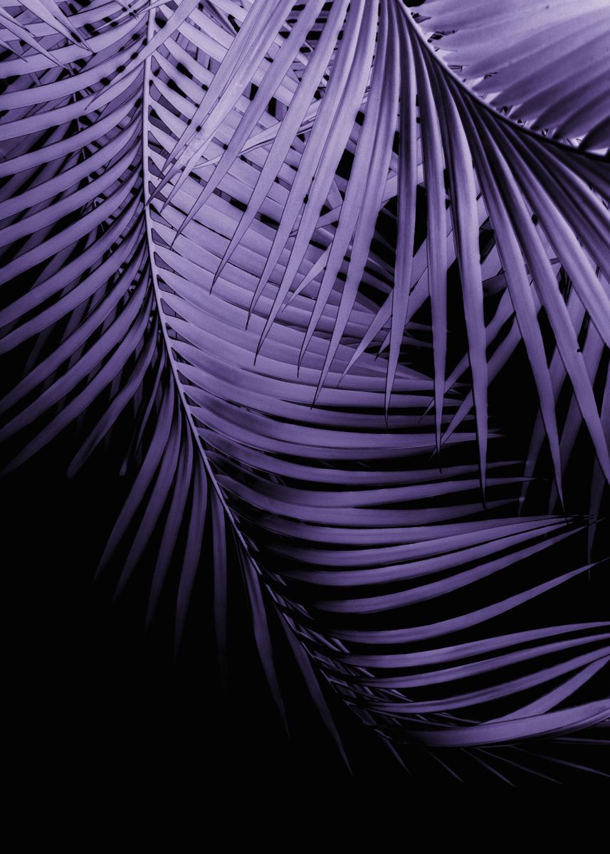 'Palm Leaves Ultra Violet 1' Poster, picture, metal print, paint by ...