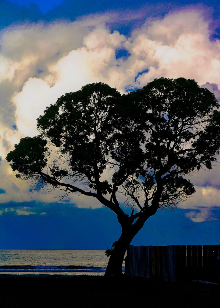 'Tree overlooking ocean' Poster, picture, metal print, paint by Frankie ...