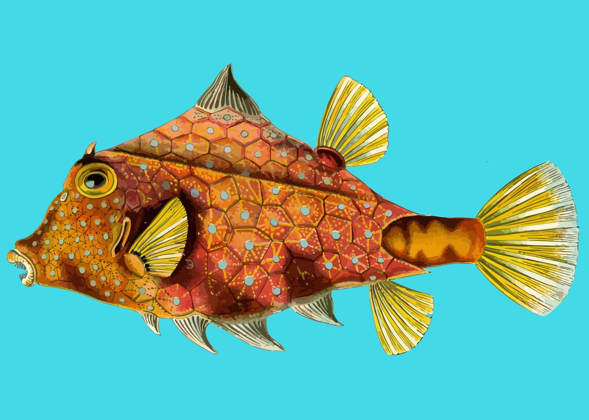 'aquatic animal fish art' Poster by Shahena | Displate