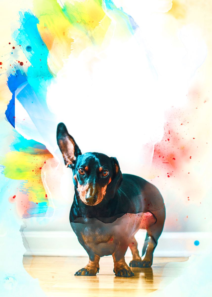 'Dachshund' Poster by Visualz | Displate