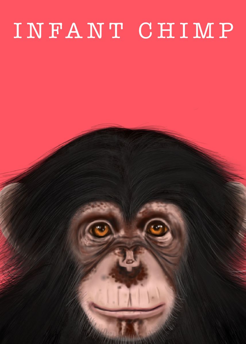 'Infant Chimp' Poster, picture, metal print, paint by Stan Rimbas ...