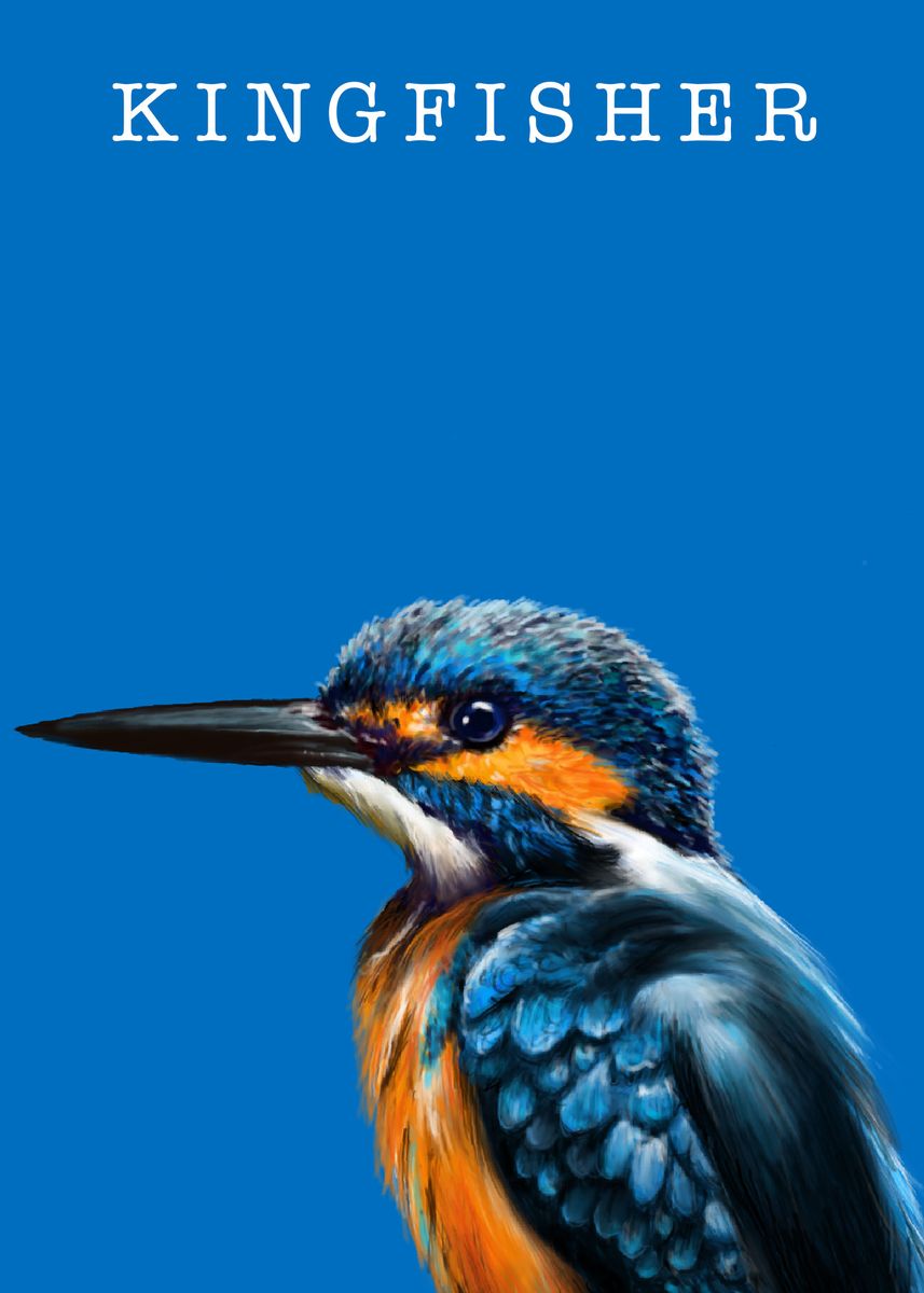 'Kingfisher' Poster by Stan Rimbas | Displate