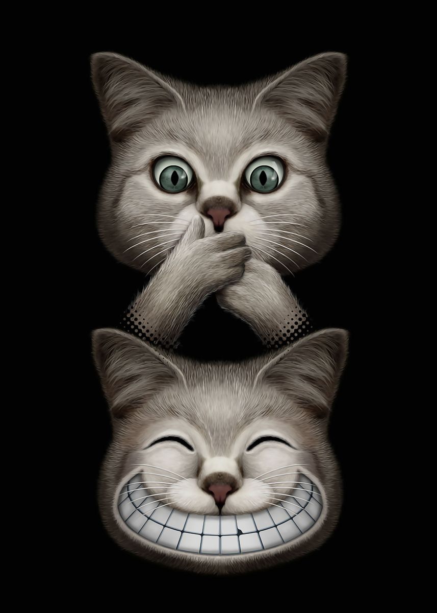 'TWO FACES' Poster, picture, metal print, paint by adamlawless | Displate