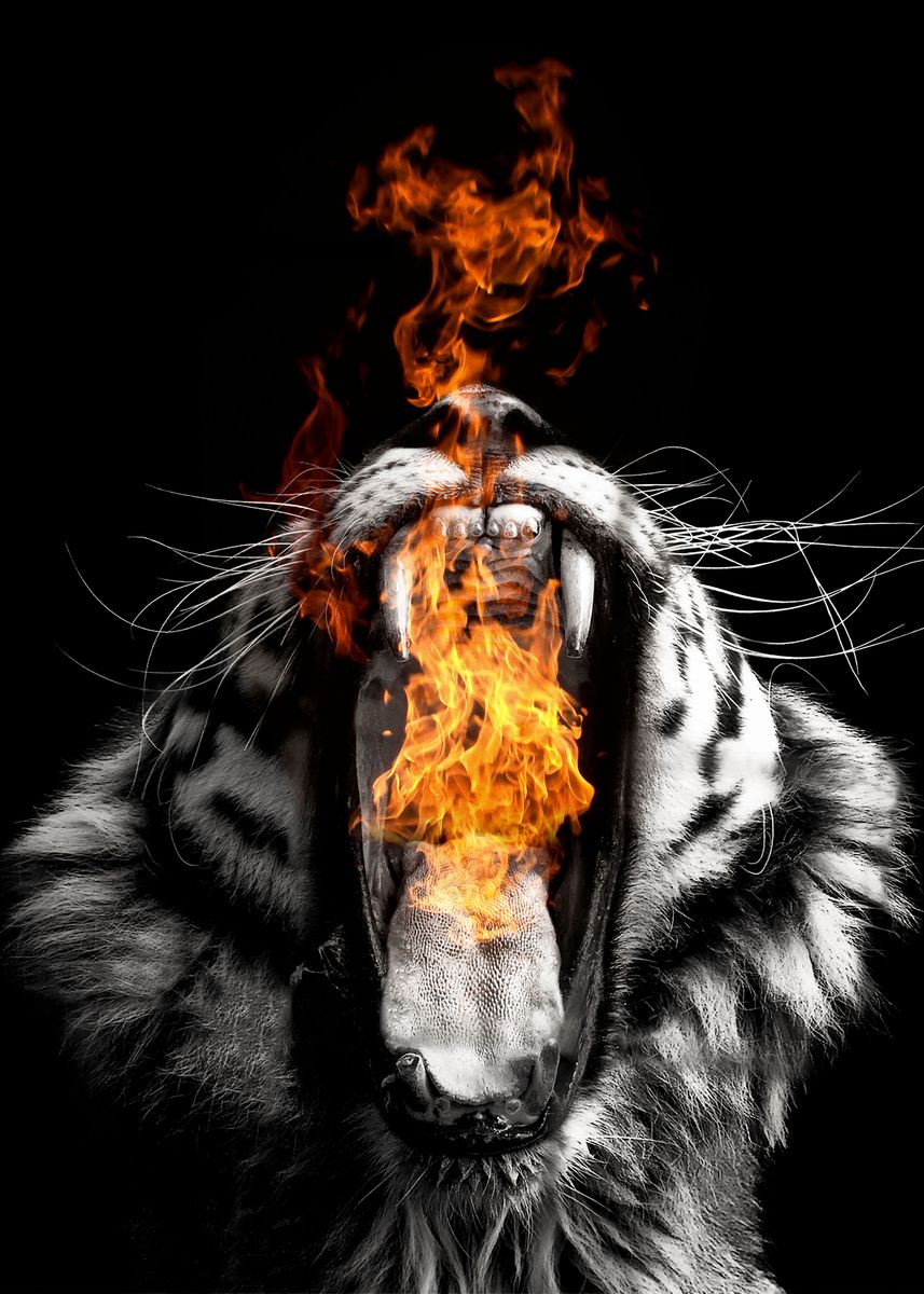 'wild tiger on fire poster ' Poster, picture, metal print, paint by mk ...