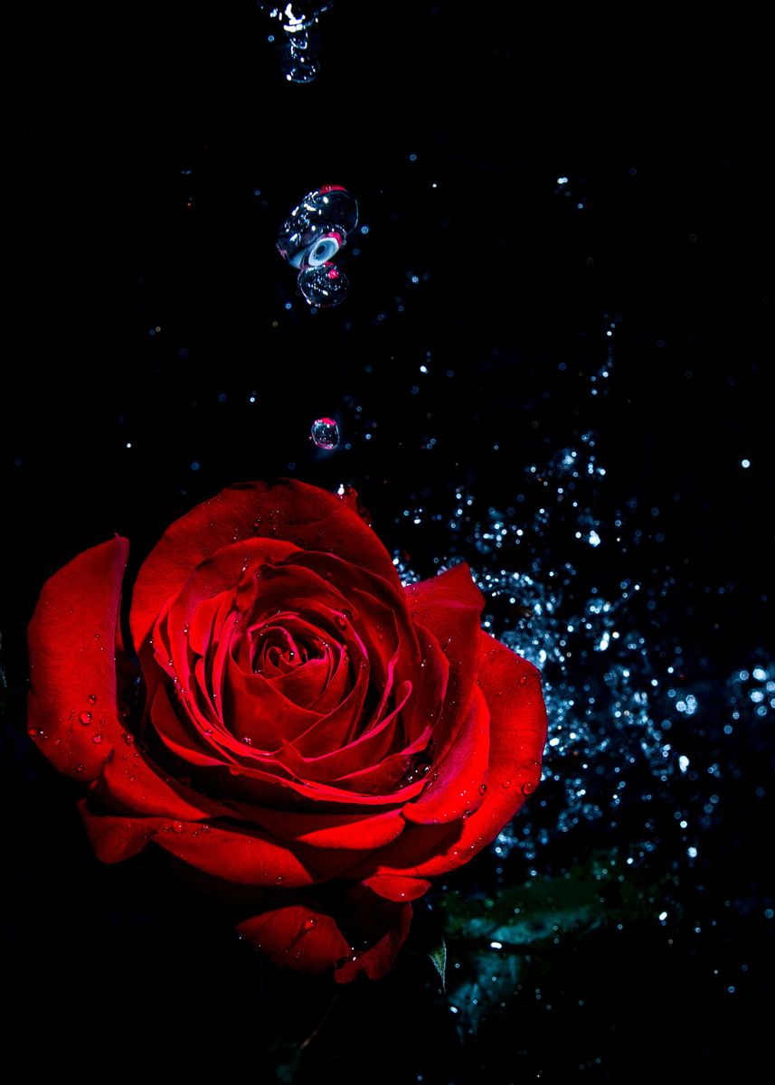 'Red and Noir' Poster, picture, metal print, paint by Olek | Displate