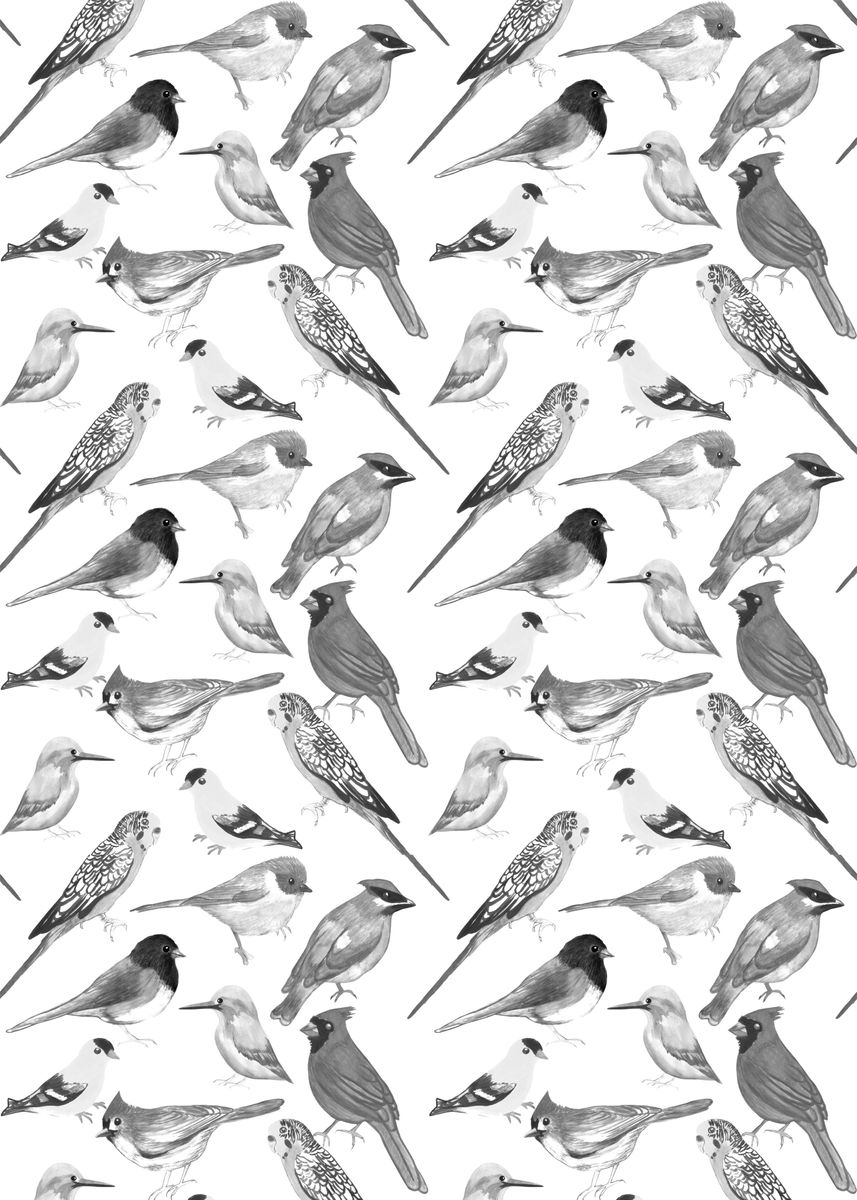 'Black and white birds' Poster by Shawlin I | Displate