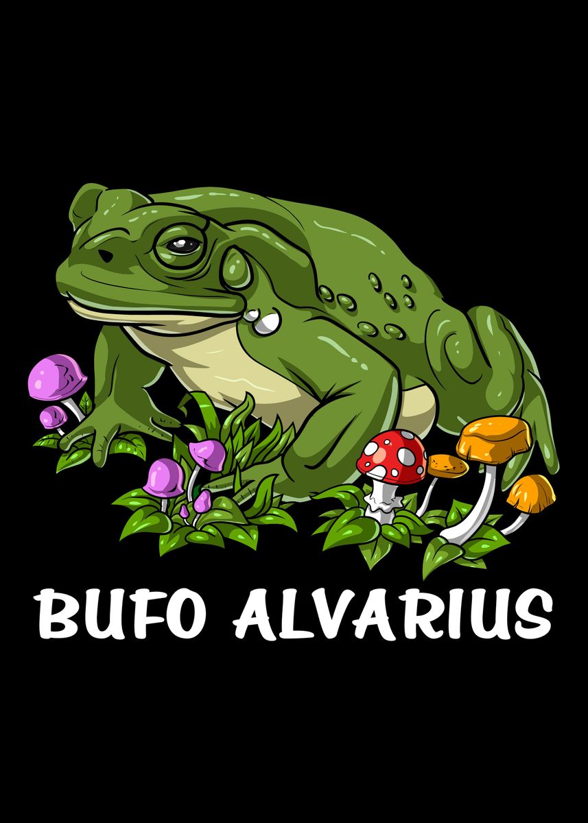 'Bufo Alvarius Toad Frog' Poster by Psychonautica | Displate