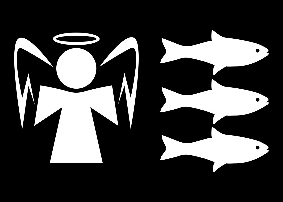 'Funny Angelfish Print' Poster by Jon Alderman | Displate