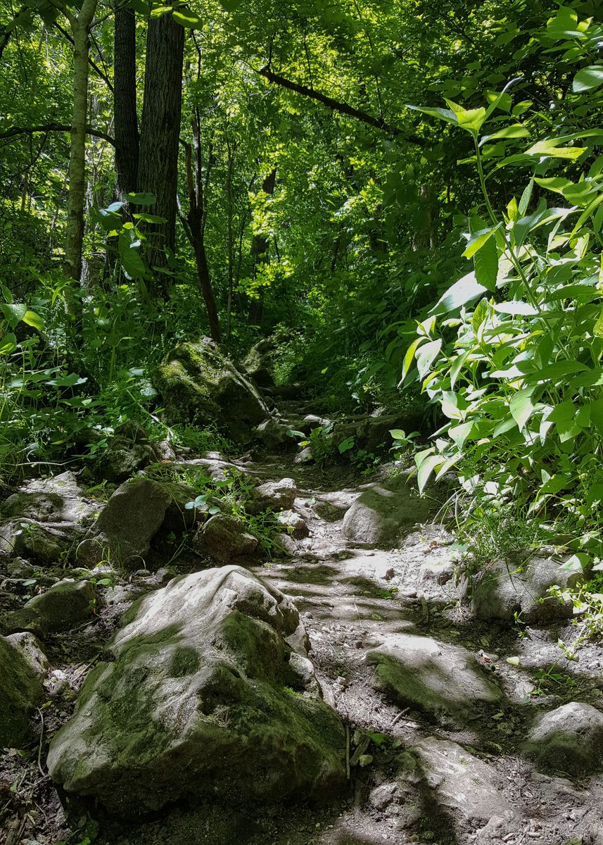 'Rock Path' Poster, picture, metal print, paint by Iron Curtain Studio ...