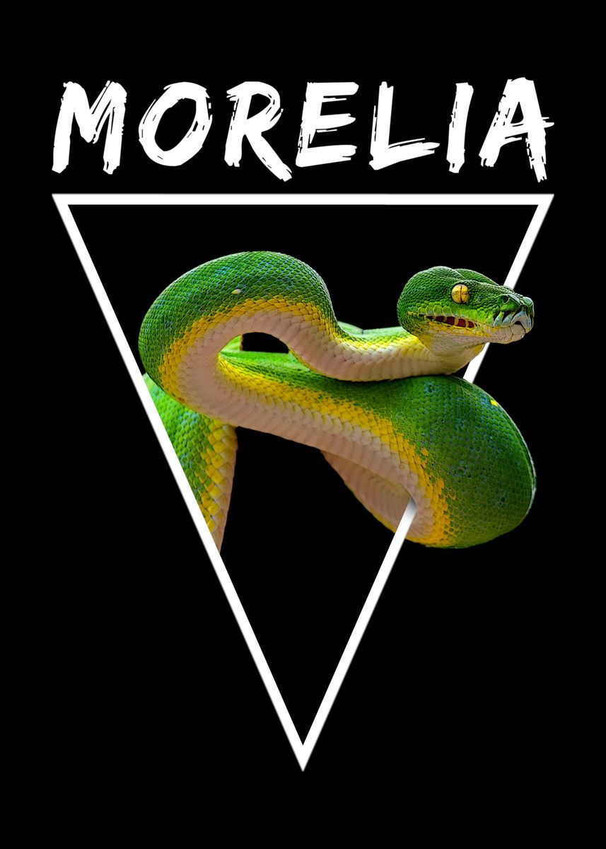 'Green Tree Python Urban' Poster, picture, metal print, paint by Jon ...