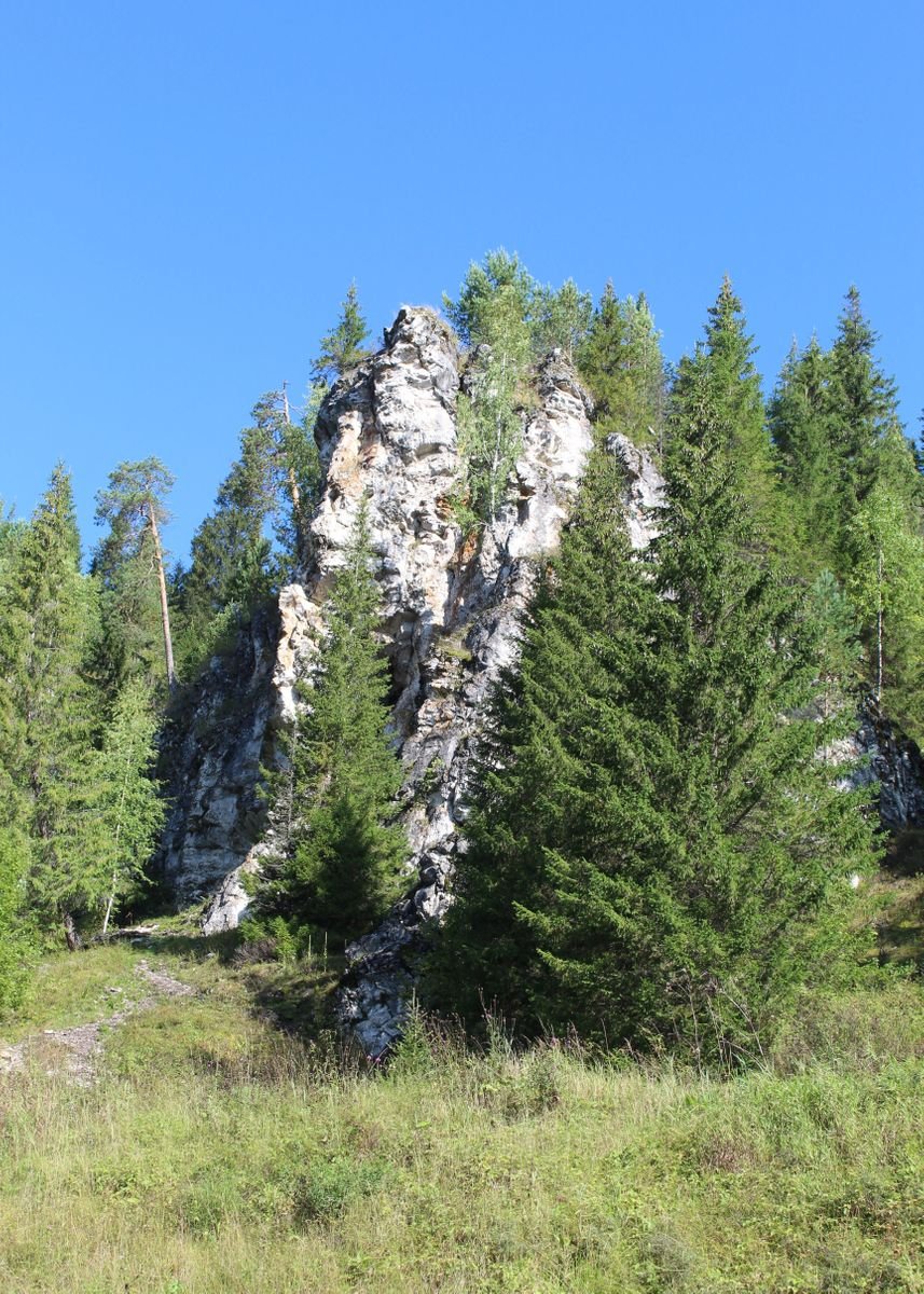 'Snake hill' Poster by Марина | Displate