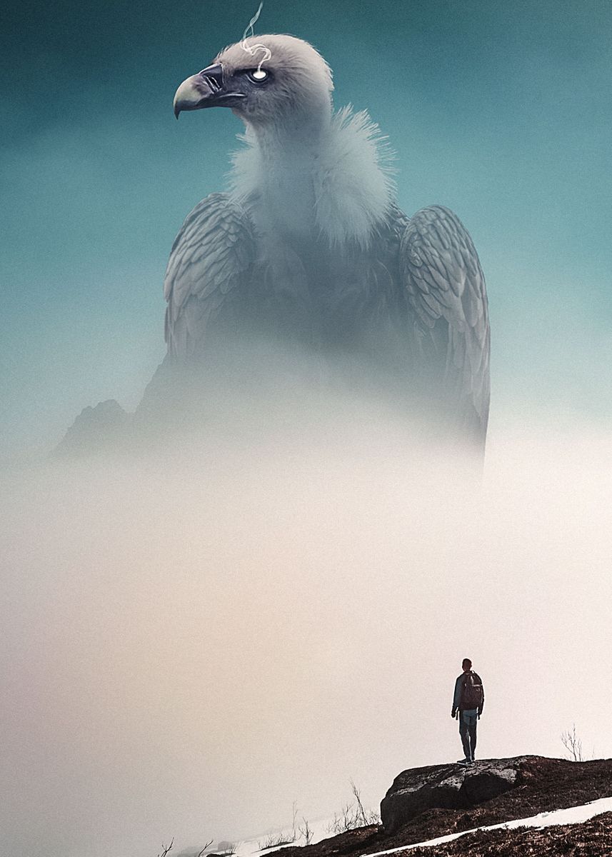 'Vulture' Poster by Patryk Andrzejewski | Displate