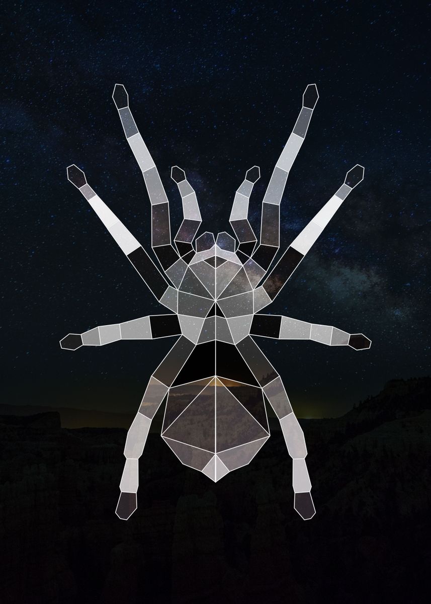 'Geometric Spider' Poster, picture, metal print, paint by Jay Diloy ...