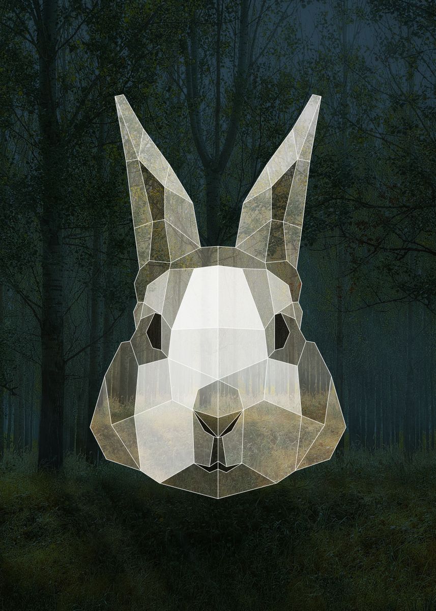 'Geometric Bunny' Poster by Jay Diloy | Displate