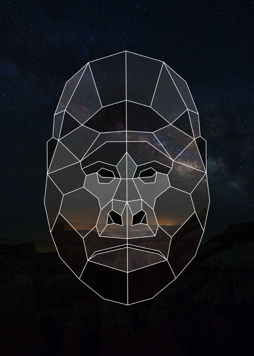 'Geometric Gorilla' Poster by Jay Diloy | Displate