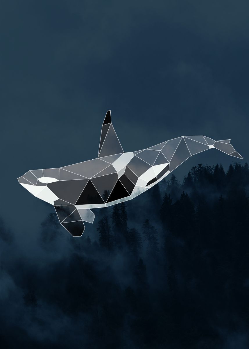 'Geometric Orca' Poster, picture, metal print, paint by Jay Diloy ...
