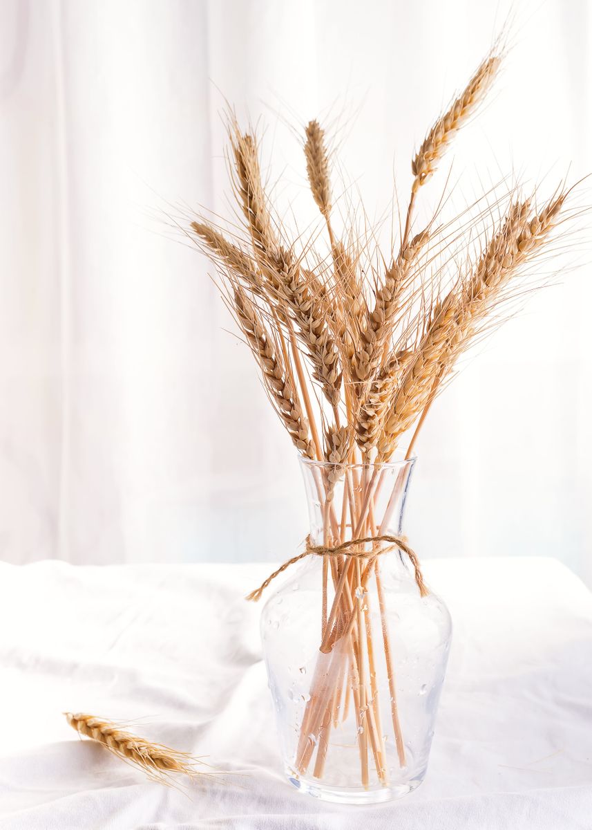 'Wheat in vase' Poster, picture, metal print, paint by Yuliia ...