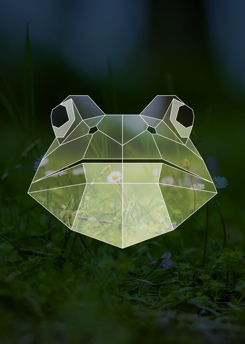 'Geometric Frog' Poster by Jay Diloy | Displate
