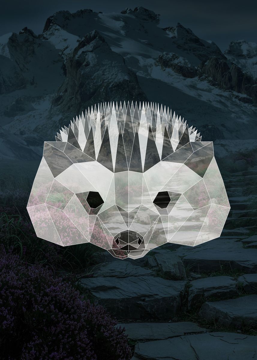 'Geometric Hedgehog' Poster by Jay Diloy | Displate