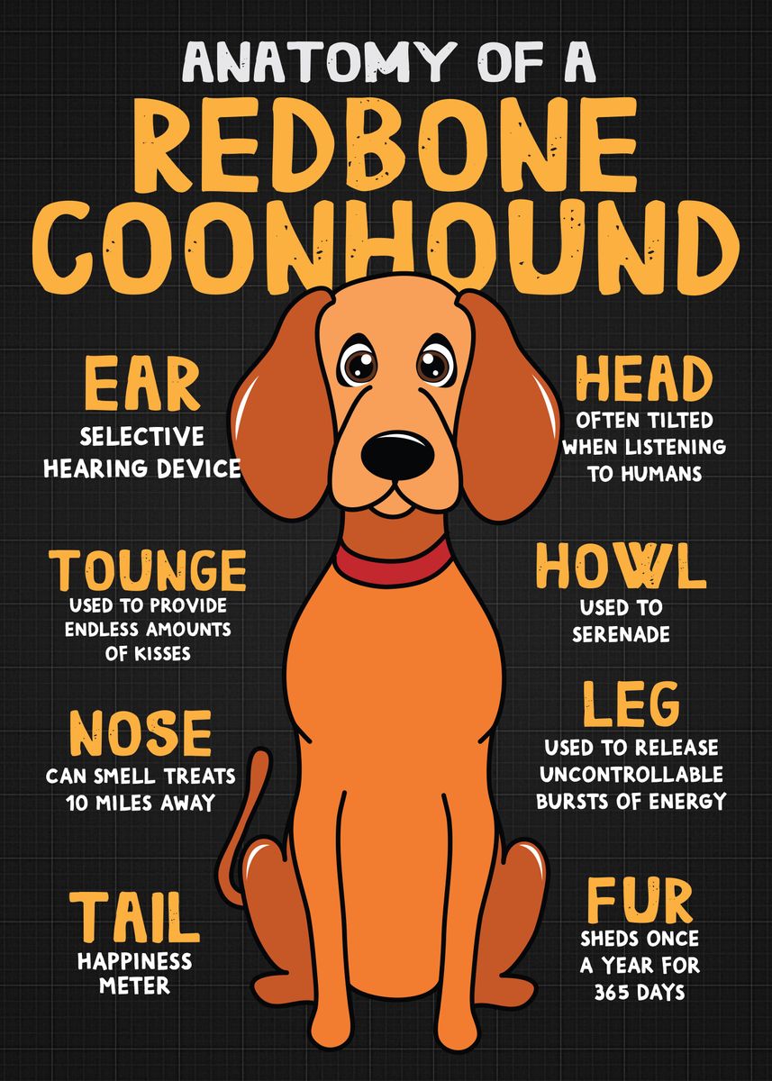 'Redbone Coonhound Dog' Poster, picture, metal print, paint by Rafael ...