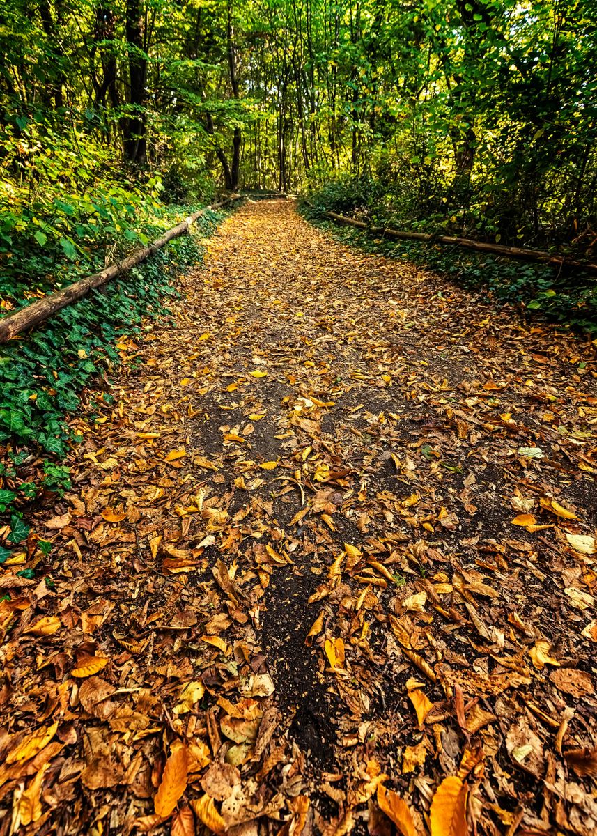 'autumn path' Poster by Eduard Zayonchkovski | Displate