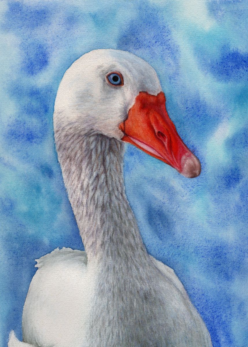 'Goose' Poster, picture, metal print, paint by Magnolia Art | Displate