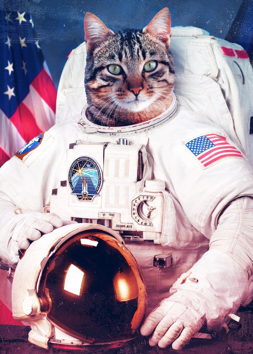 'Astrocat' Poster, picture, metal print, paint by Mitxel Gonzalez ...