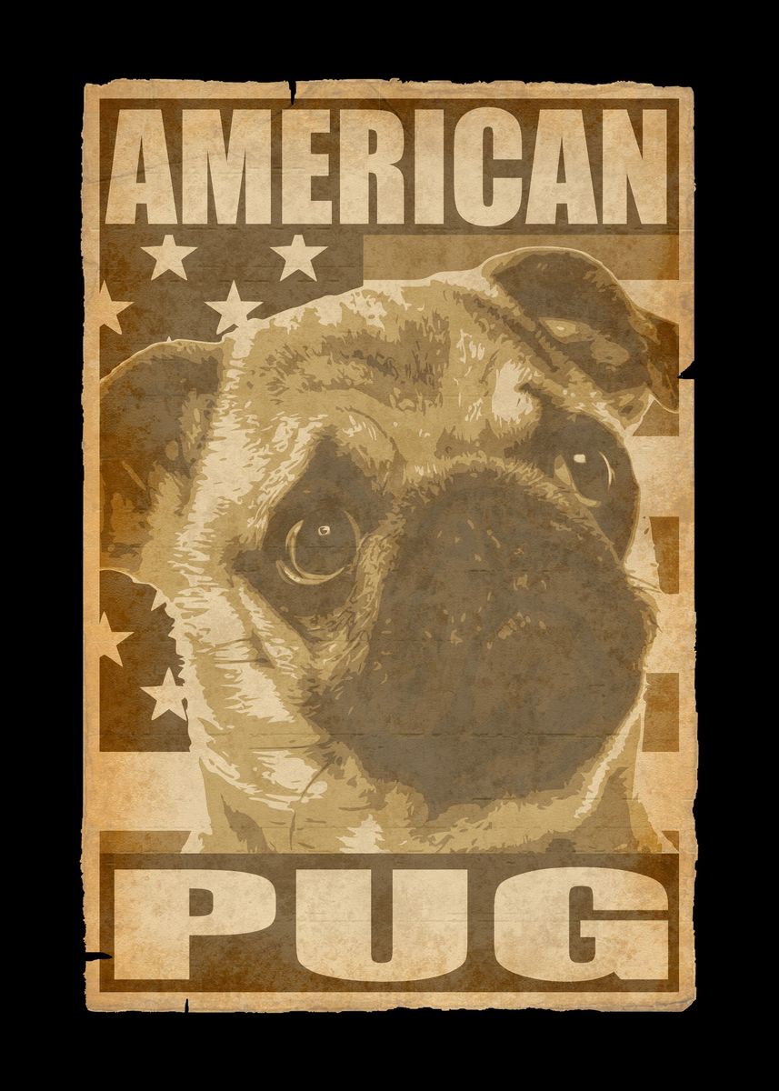 'American Pug Vintage' Poster by Filip Hellman | Displate