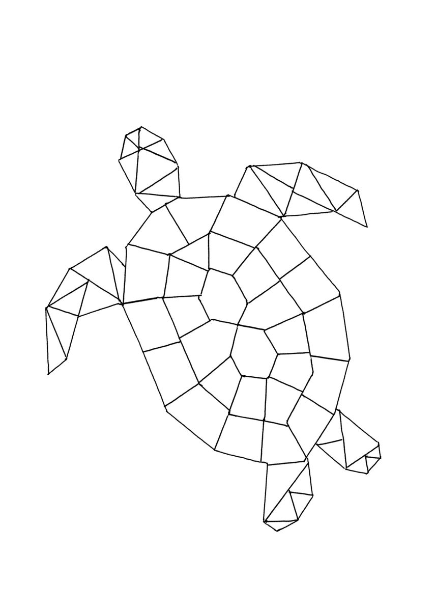 'turtle' Poster by JMdrawings | Displate