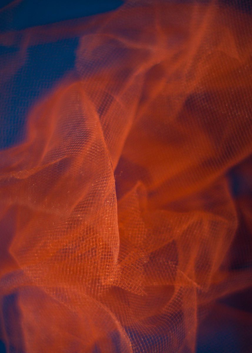 'Veil texture' Poster, picture, metal print, paint by Larisa Siverina ...