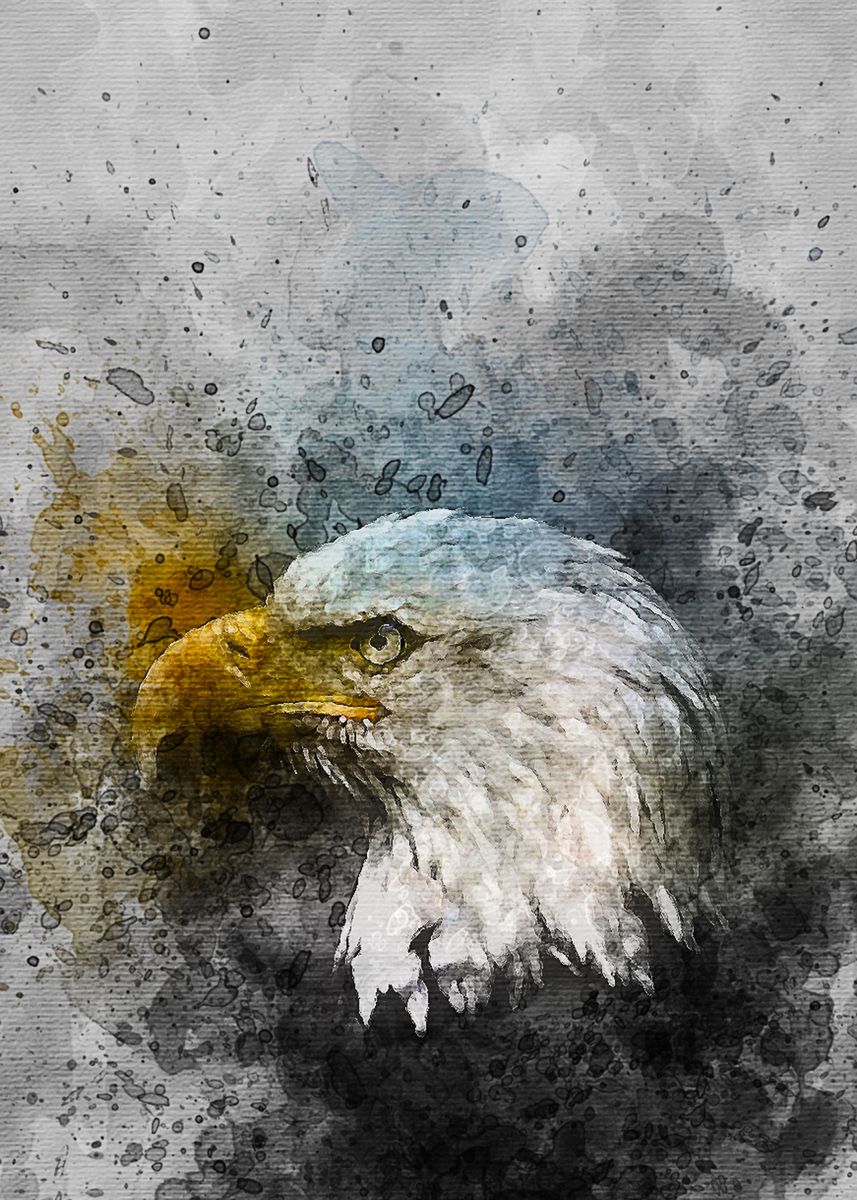 'Eagle' Poster, picture, metal print, paint by Olivia Emma | Displate