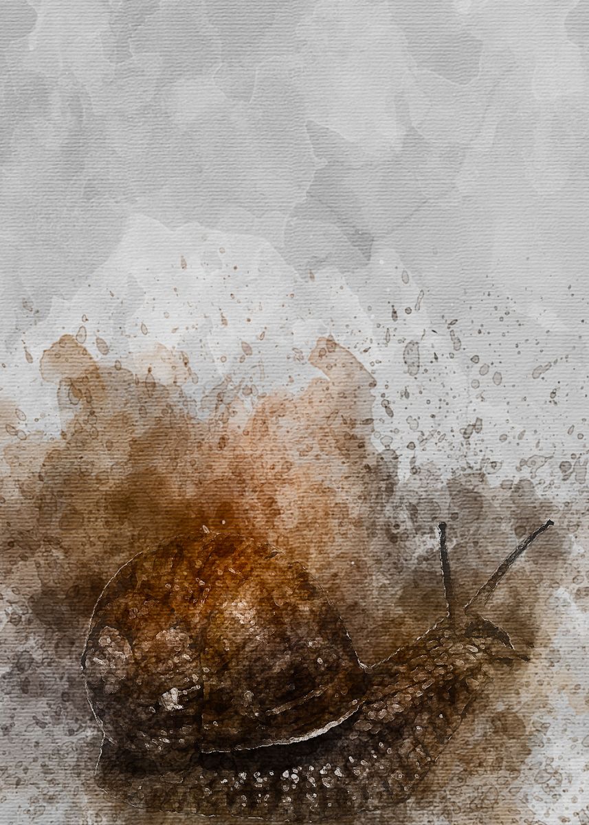 'Snail' Poster, picture, metal print, paint by Olivia Emma | Displate