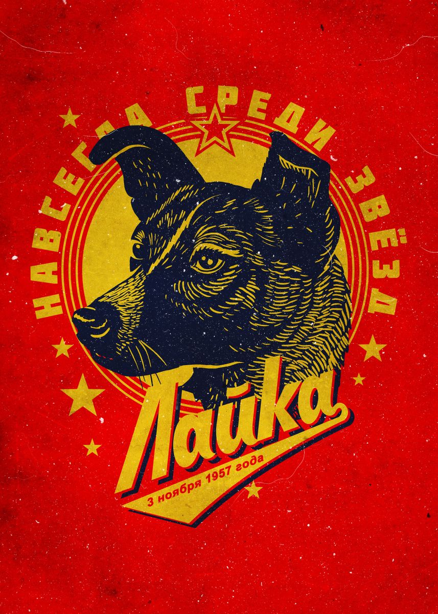 'Laika' Poster, picture, metal print, paint by Dalibor Novak | Displate