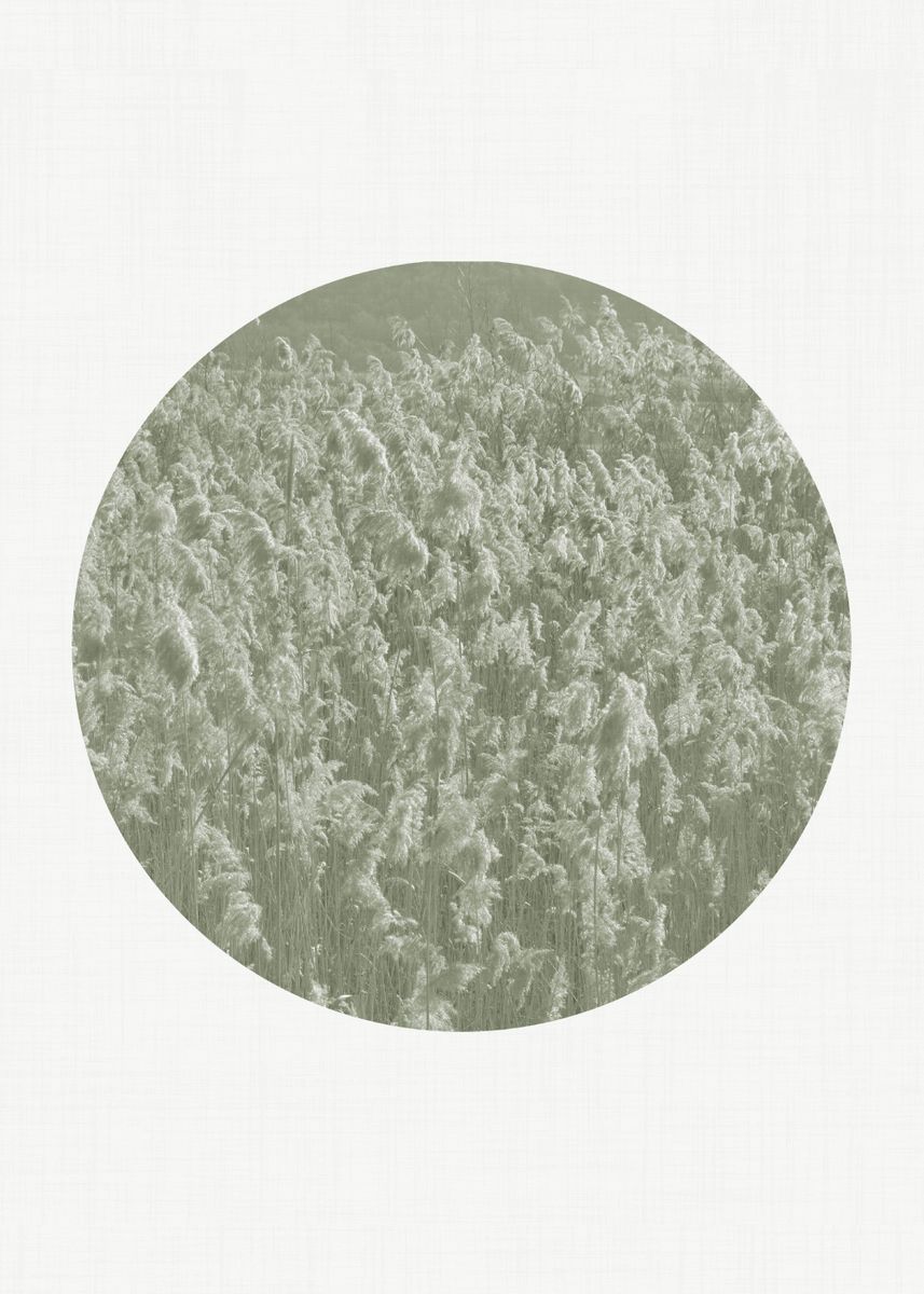 'Circular Landscape Reeds' Poster, picture, metal print, paint by ...