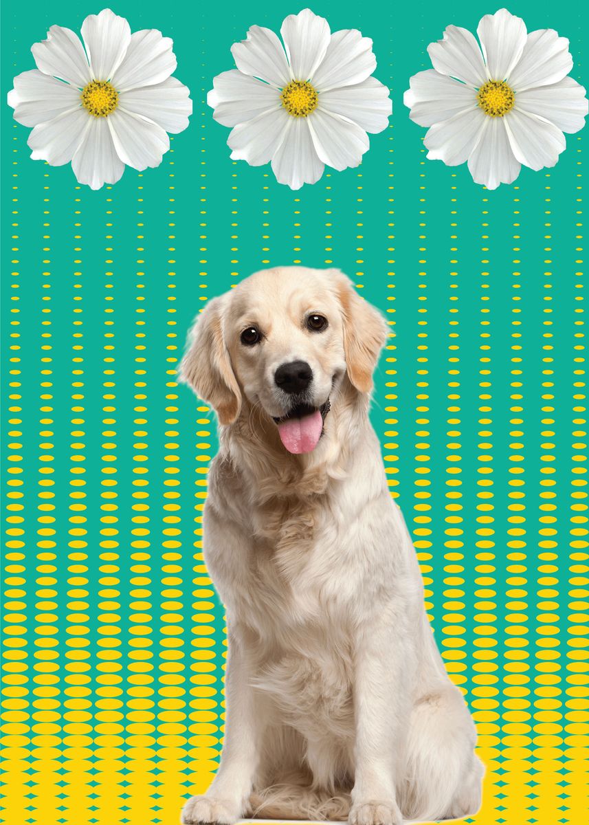 'dog pop' Poster, picture, metal print, paint by Marijan Kamshi | Displate