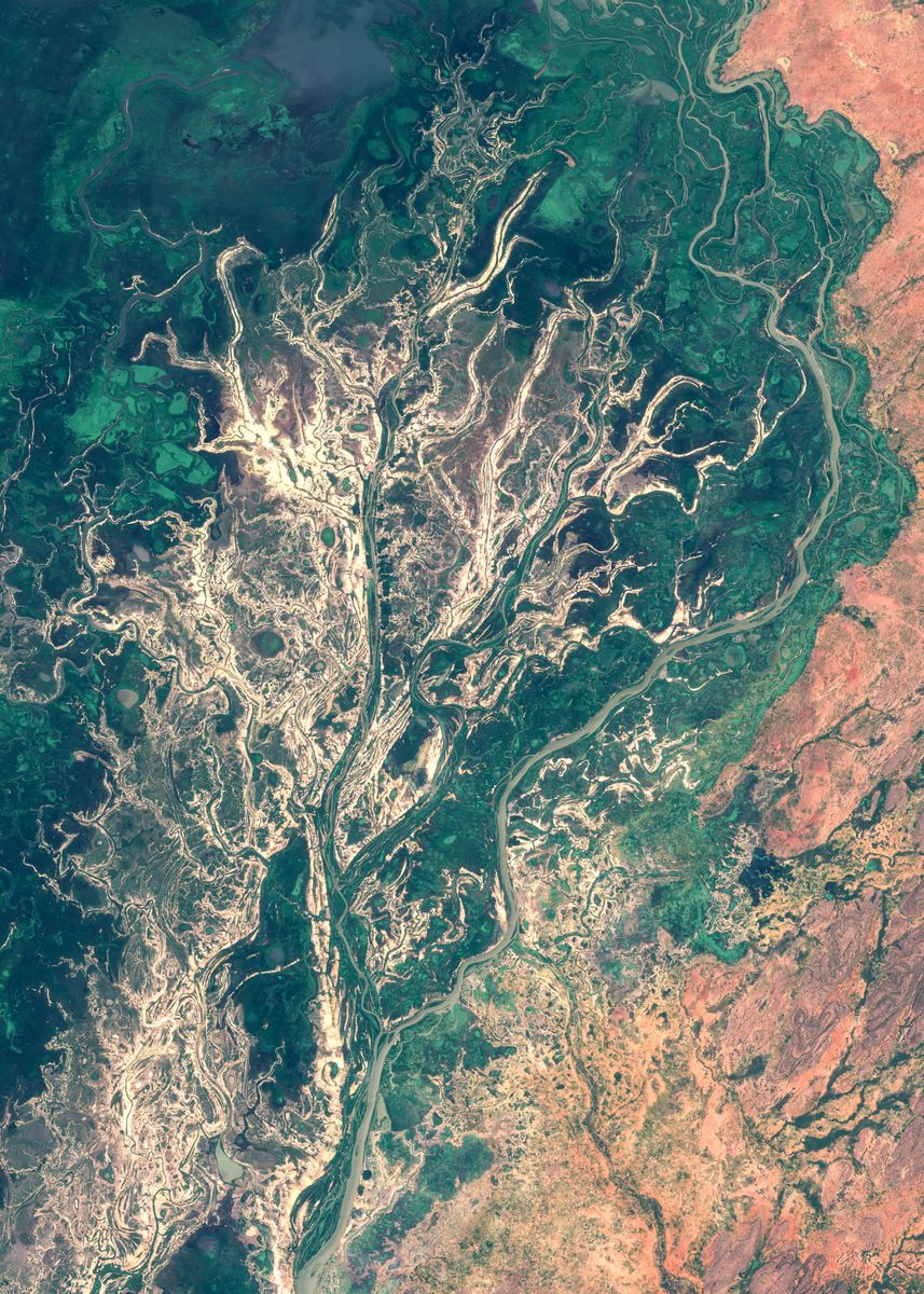 'Niger inland delta' Poster, picture, metal print, paint by intrepix ...