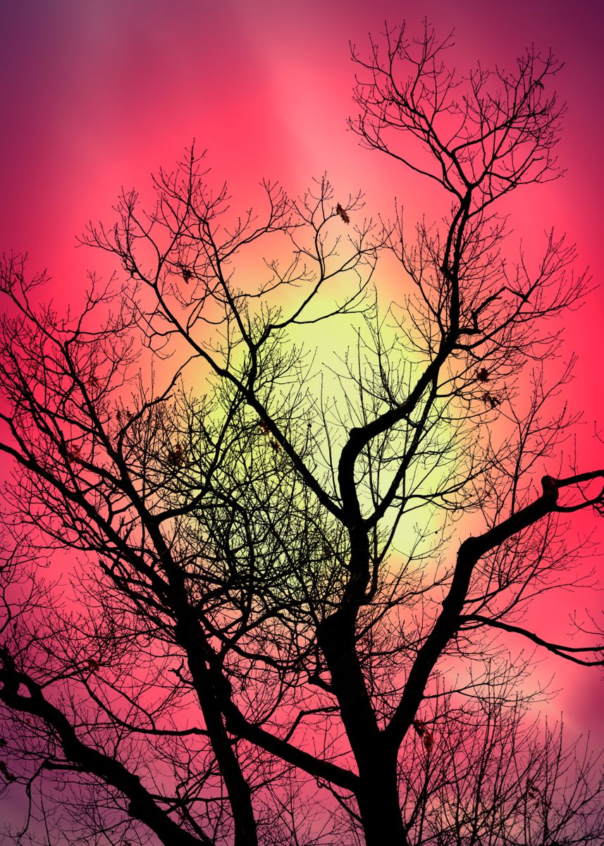 'Red Sky At Dawn' Poster, picture, metal print, paint by Bob Orsillo ...