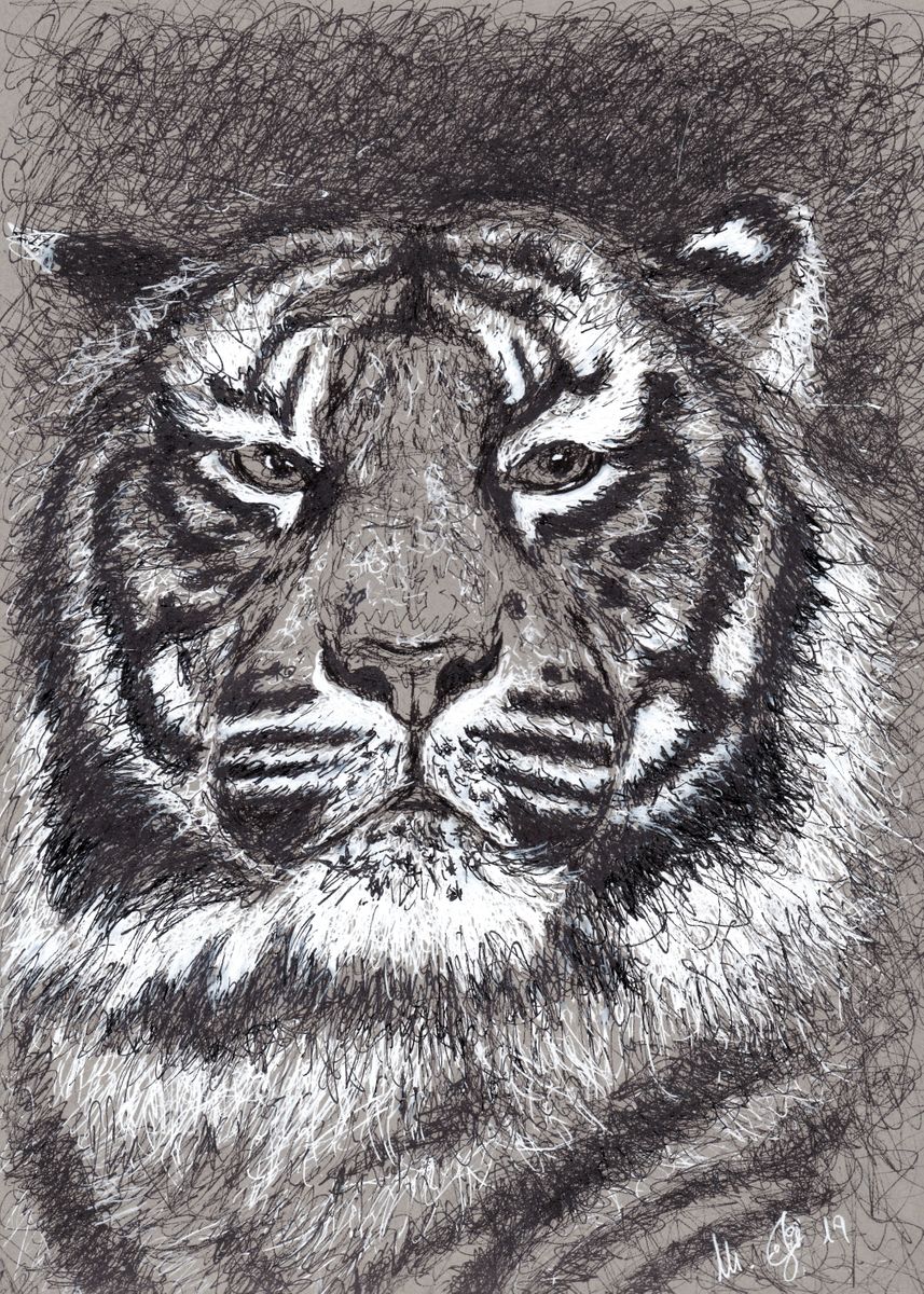 ' Tiger in scribble art' Poster by Manuella Eggs | Displate
